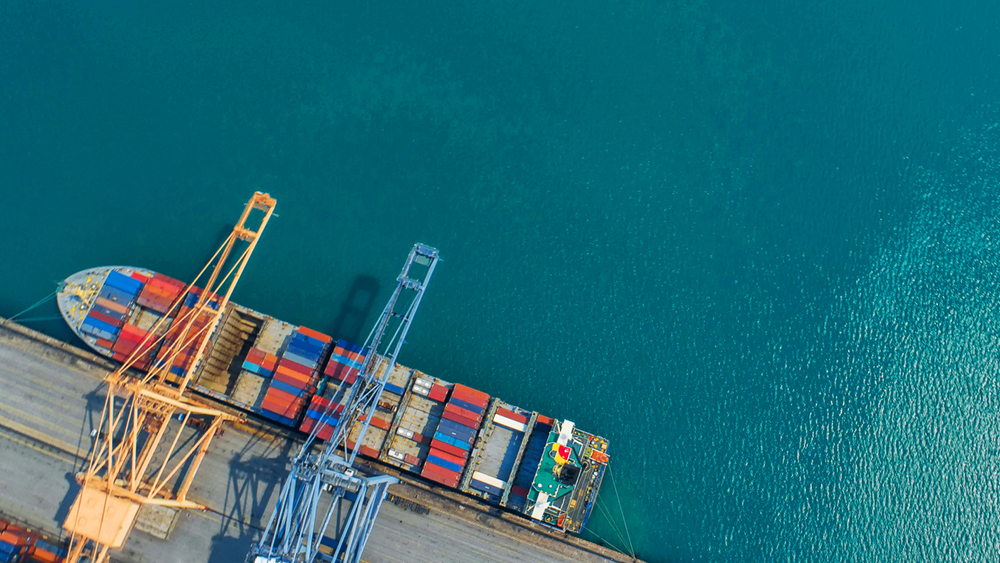 CargoWise and ZIM connect to improve customer experience | WiseTech Global